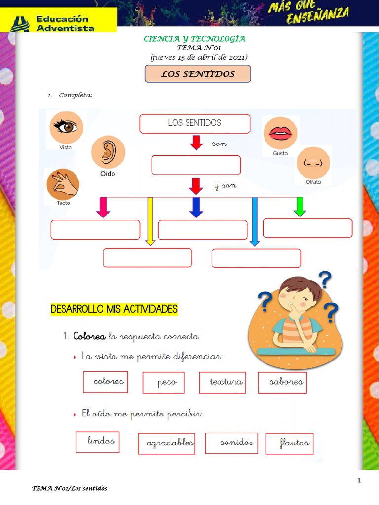 Los Sentidos CyT (15!04!2021) | PDF