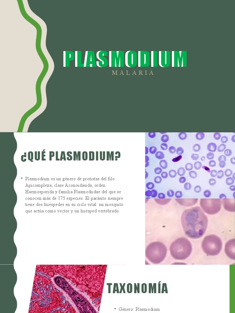 Plas Modu Im | PDF | Plasmodium | Malaria