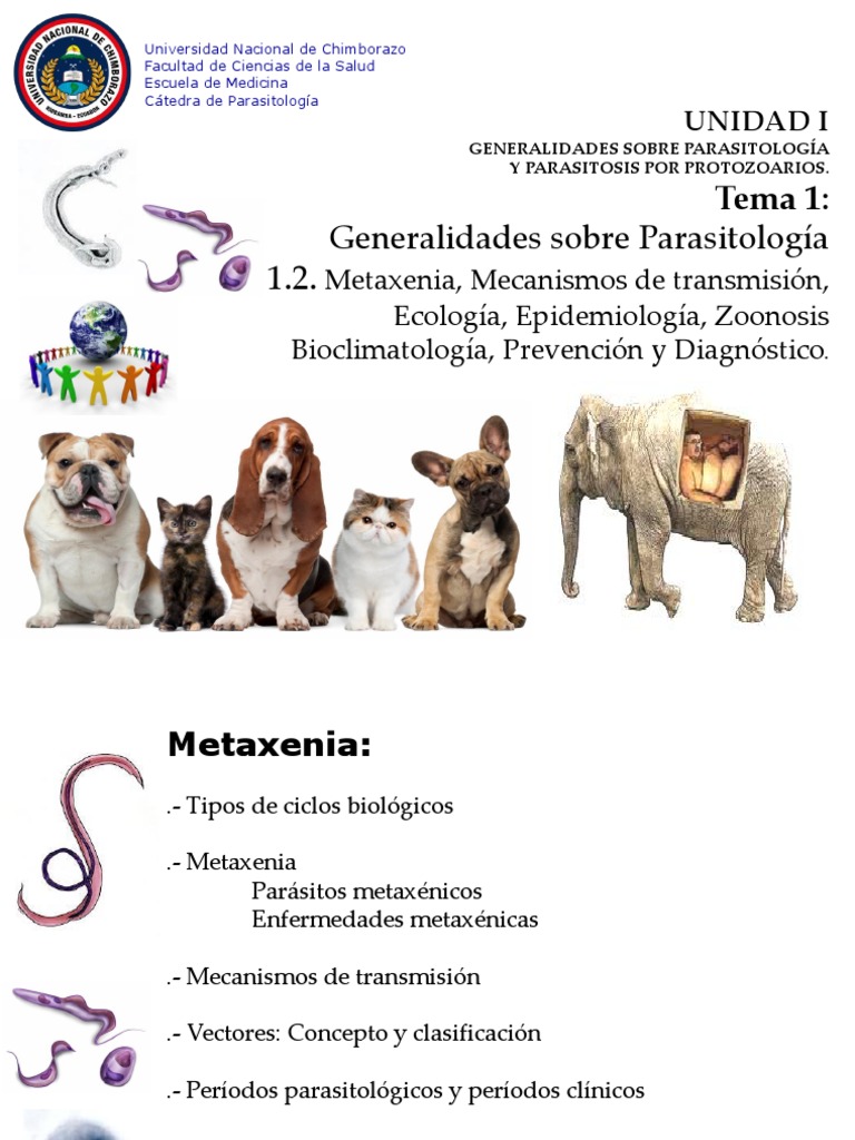 Tema 1 Generalidades Subtema 1.2 A Metaxenia, Mecanismos de Transmisión Ecología, Epidemiología ...