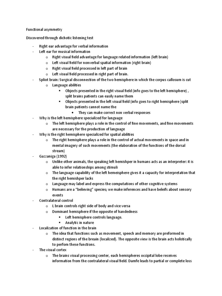 Functional Asymmetry | PDF | Lateralization Of Brain Function ...