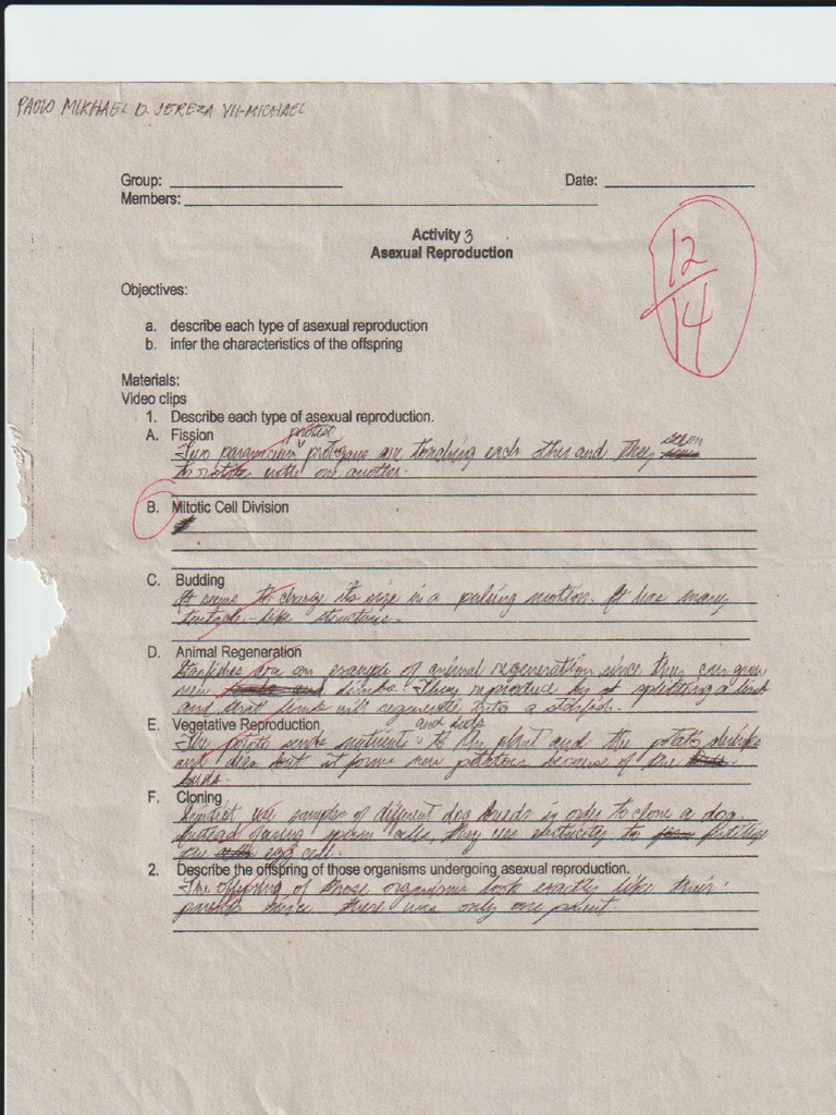 Sample Laboratory Activities | PDF