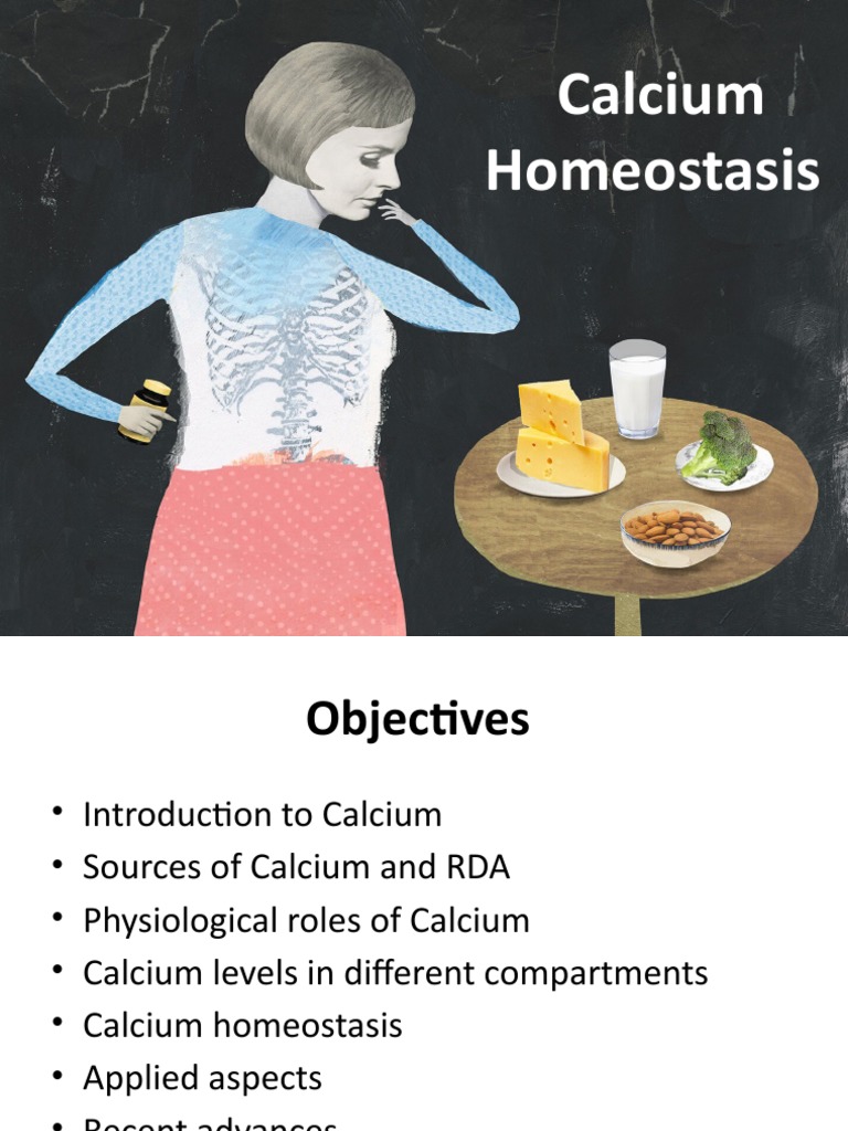 Calcium Homeostasis | PDF | Calcium | Bone