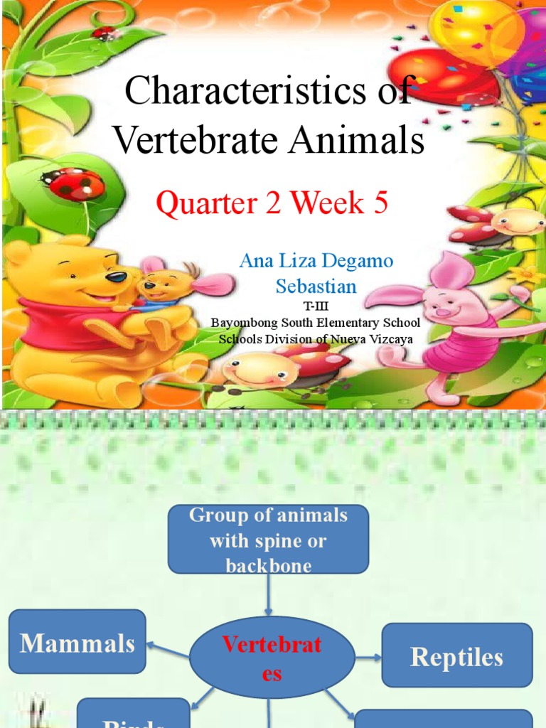 Q2 WK 5 Characteristics of Vertebrate Animals Day 2 | PDF | Biology ...