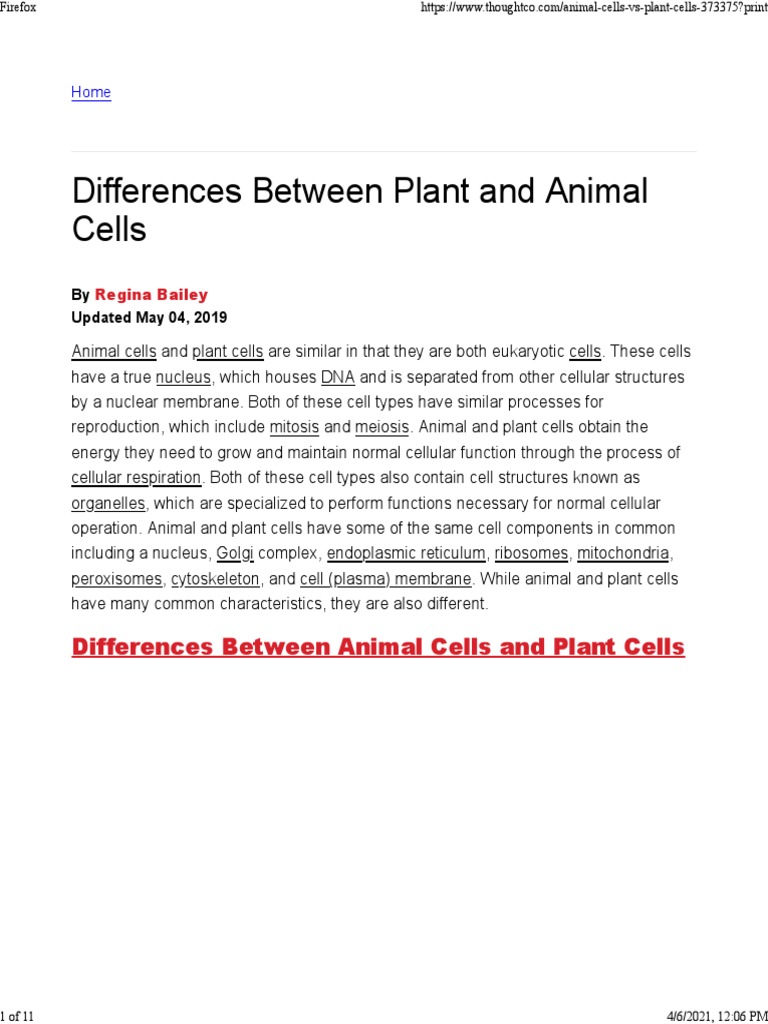 Differences Between Plant and Animal Cells | PDF | Cell (Biology ...
