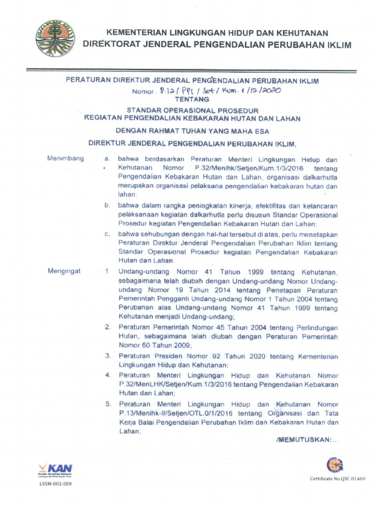 Perdirjen PPI No 12 Tahun 2020 SOP Dlkarhutla | PDF
