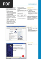 Declaraguate - Descripcion | PDF