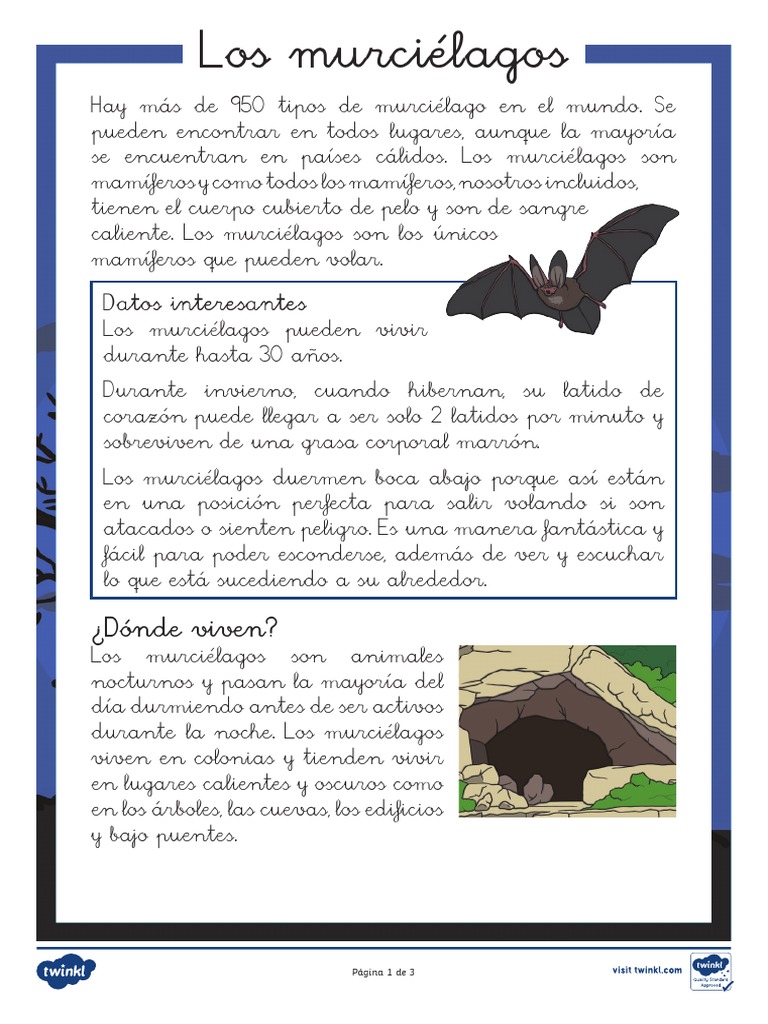 ES T L 4545 Los Murcielagos Comprension Lector | PDF | Murciélago ...