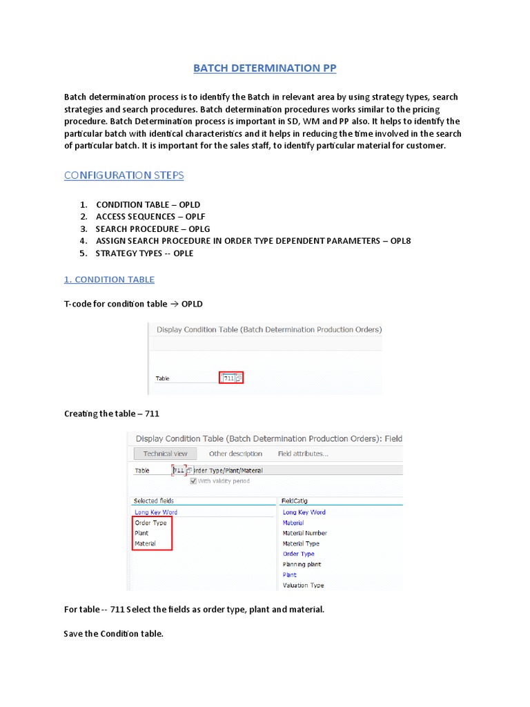 Batch Determination PP | PDF | Computing