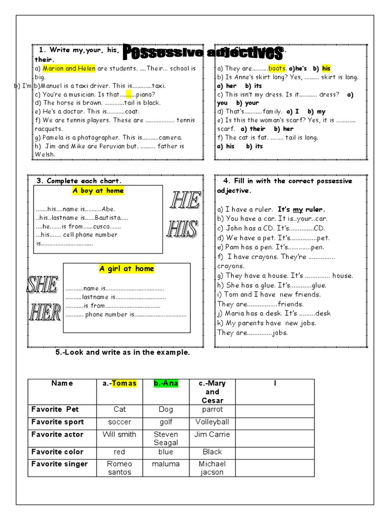 Possessive Adjectives Exercises | PDF