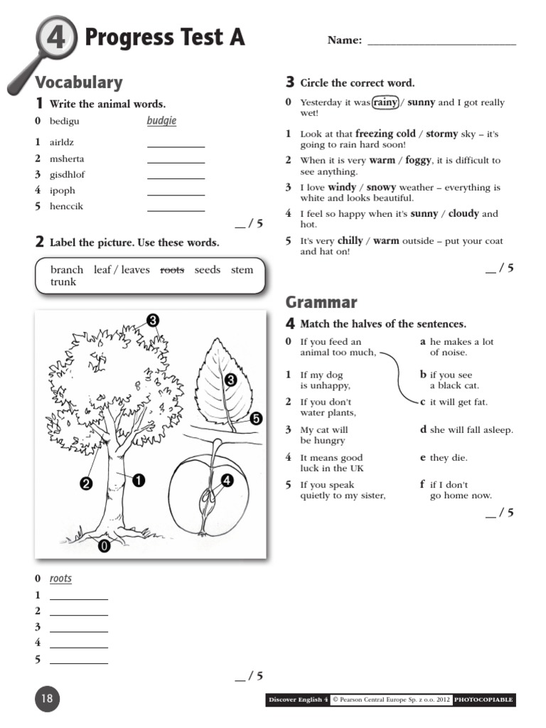 Progress Test 4 A | PDF