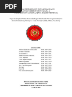 SDKI SLKI SIKI Hipertermia | PDF
