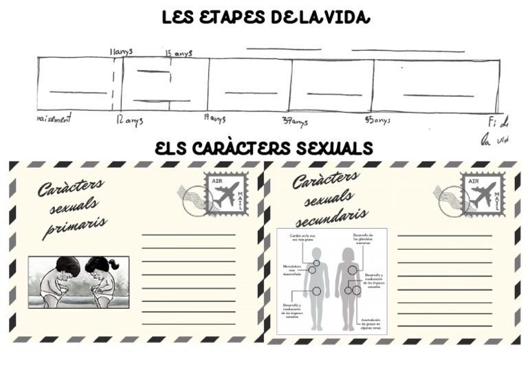 Les Etapes de La Vida | PDF