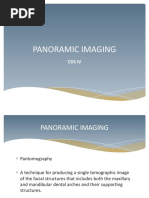 Panoramic Radiograph Anatomy Overview | PDF | Anatomical Terms Of ...