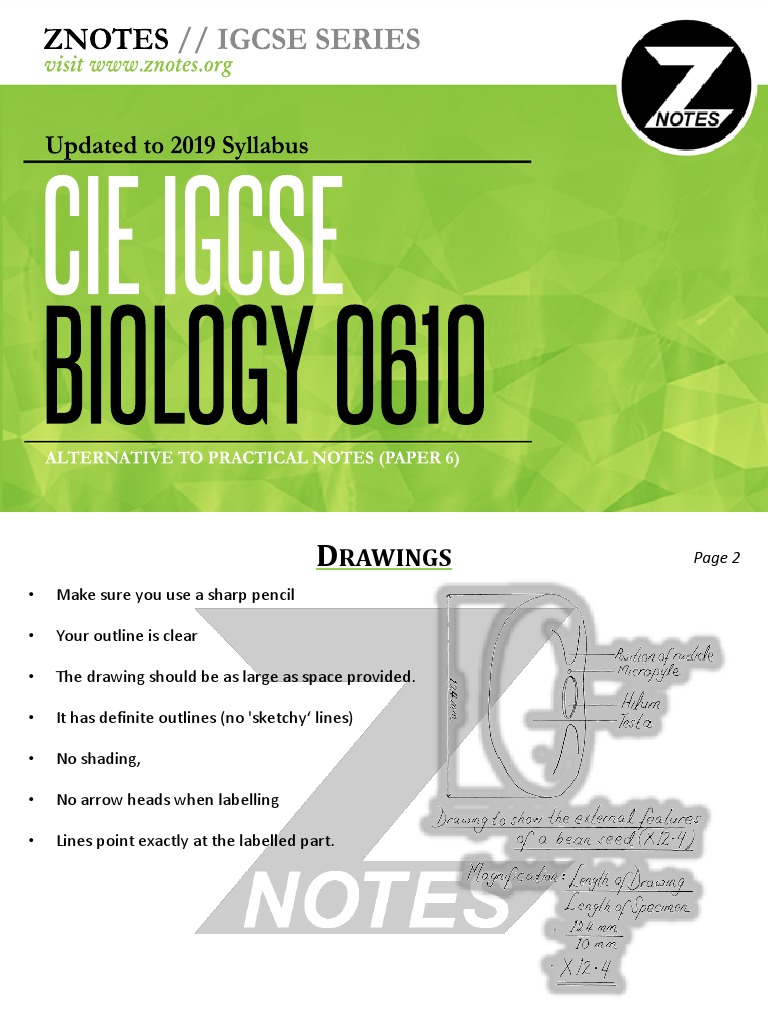 Caie Igcse Biology 0610 Alternative To Practical | PDF