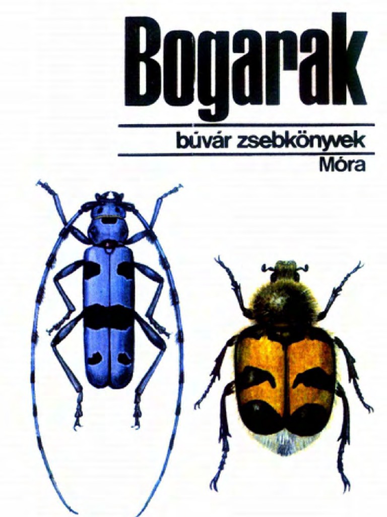 Bogarak | PDF