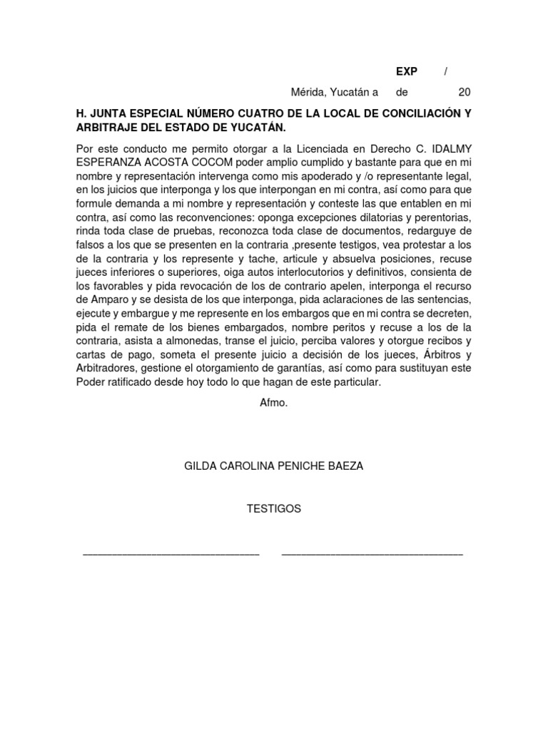 Carta Poder Persona Fisica | PDF