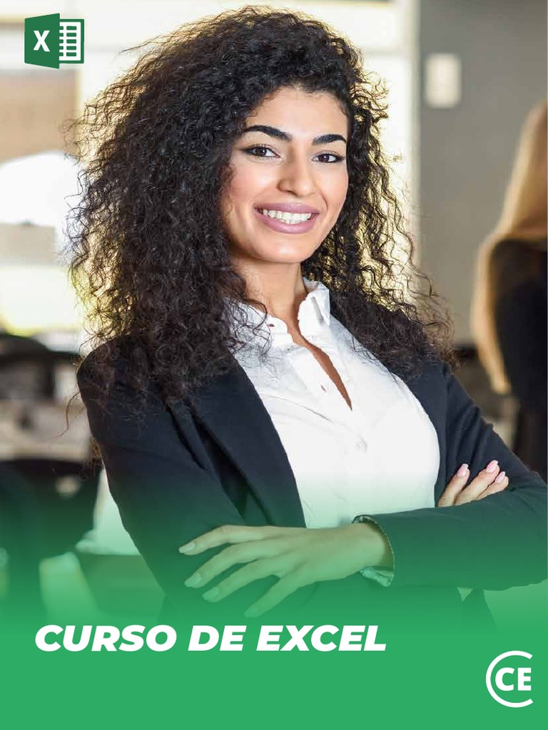 Silabus Excel Profesional | PDF | Microsoft Excel | Macro (informática)