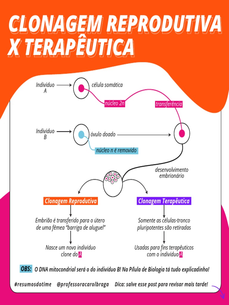 Clonagem Terapeutica e Reprodutiva - Prof Carol Braga | PDF