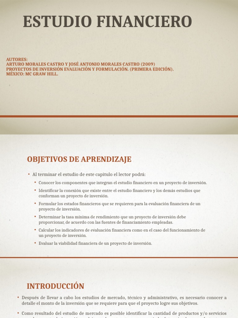 171 384 Estudio Financiero | PDF | Compartir (Finanzas) | Presupuesto