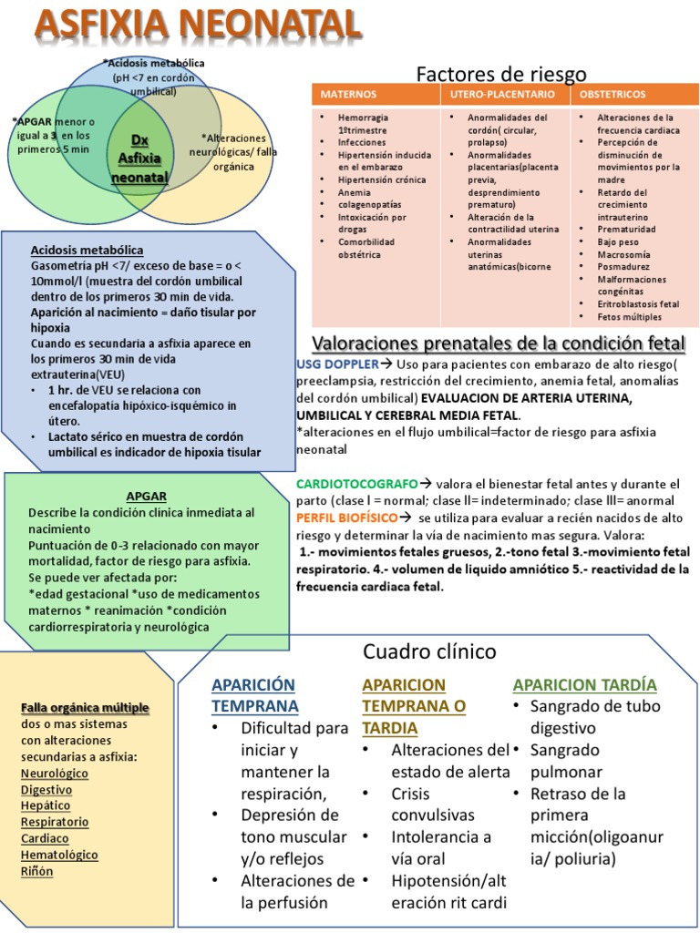 Asfixia Neonatal | PDF | Reanimación cardiopulmonar | El embarazo
