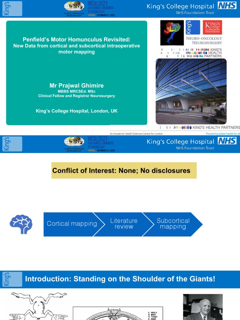 Penfield's Motor Homunculus Revisited:: MR Prajwal Ghimire | PDF ...
