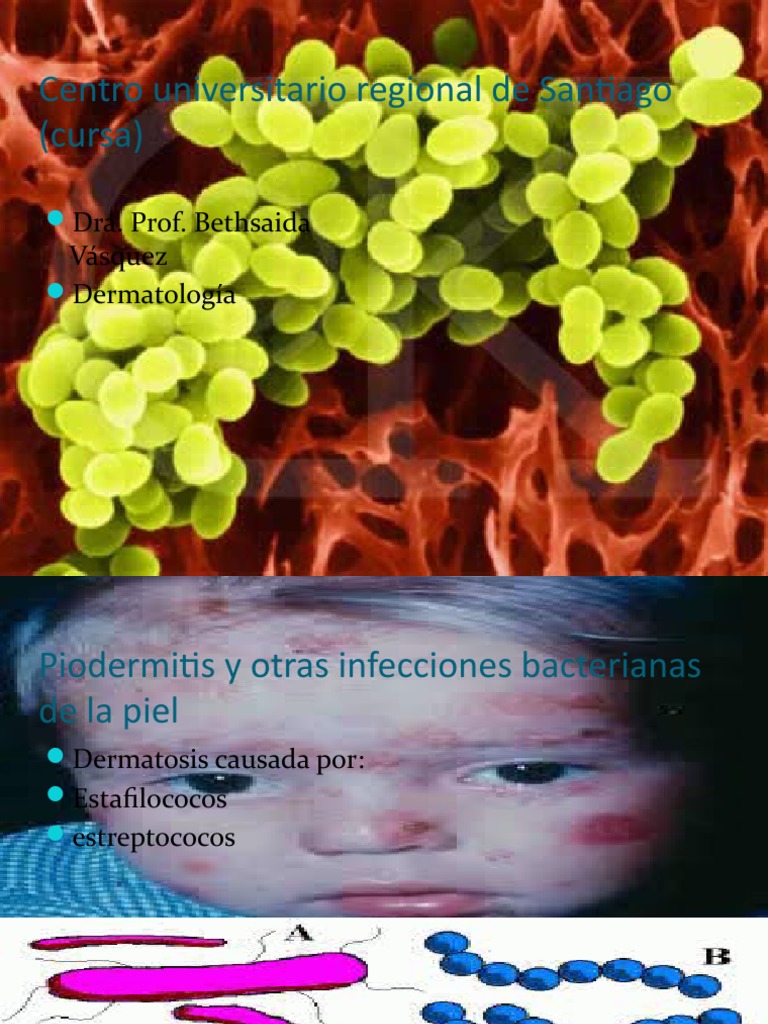 Clase 7. Piodermitis | PDF | Enfermedades animales | Enfermedades y ...