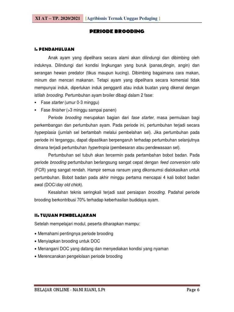 XI TU 4 Materi KD 3 Brooding - NANI RIANI | PDF