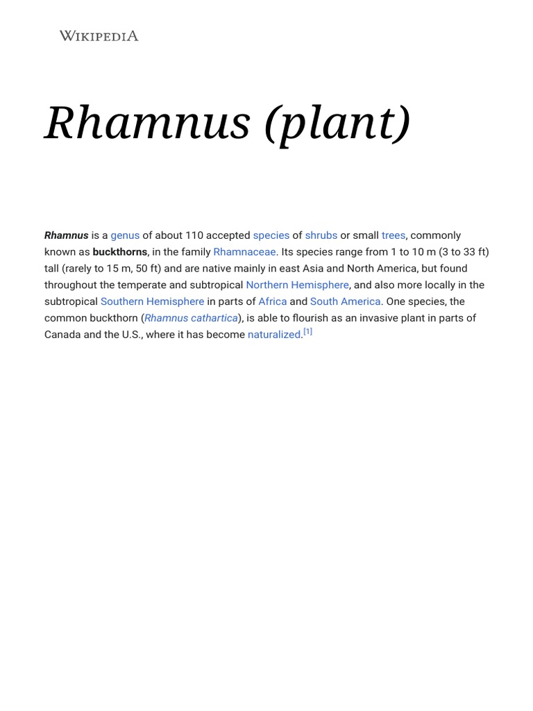 Rhamnus (Plant) - Wikipedia | PDF | Plants | Ecology