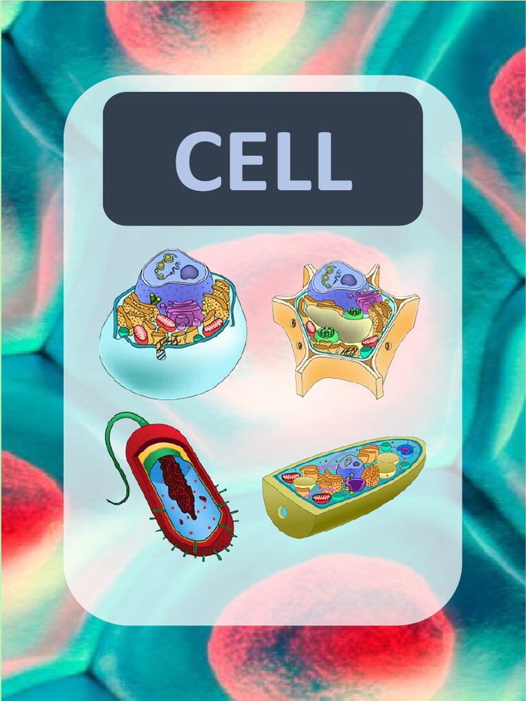 Cell Portfolio | PDF | Cell (Biology) | Cell Membrane
