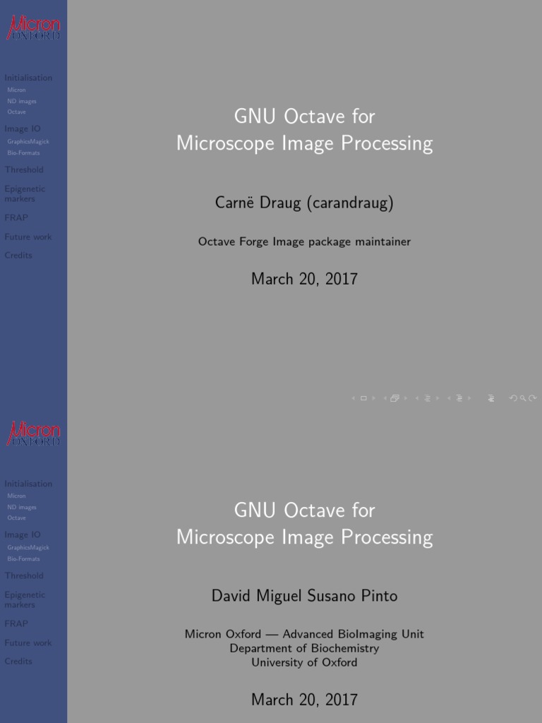 Octave Image Processing | PDF | Microscopy | Scientific Techniques