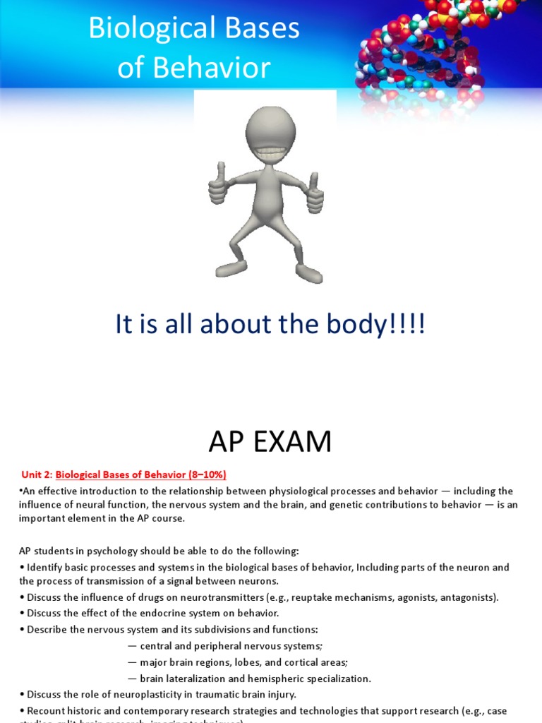 CH 3 AP Psychology Biological School 3 | PDF | Neurotransmitter | Neuron