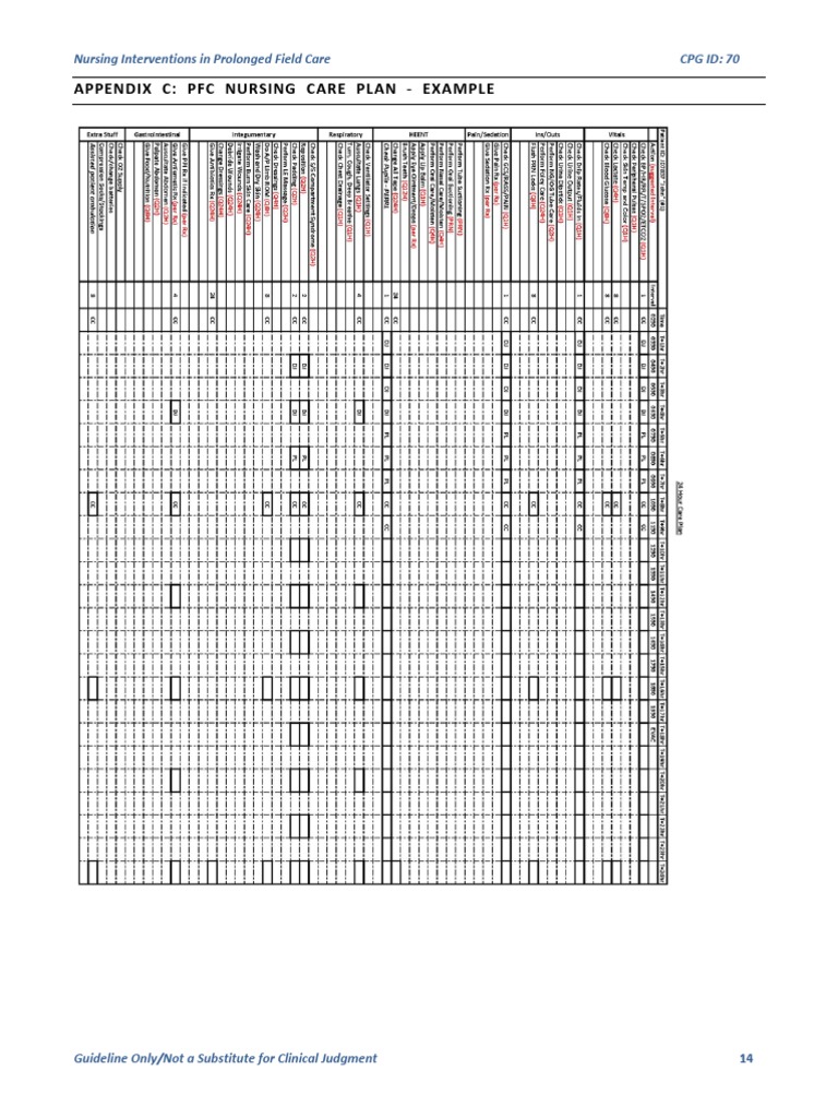 Appendix C: PFC Nursing Care Plan - Example: Nursing Interventions in ...