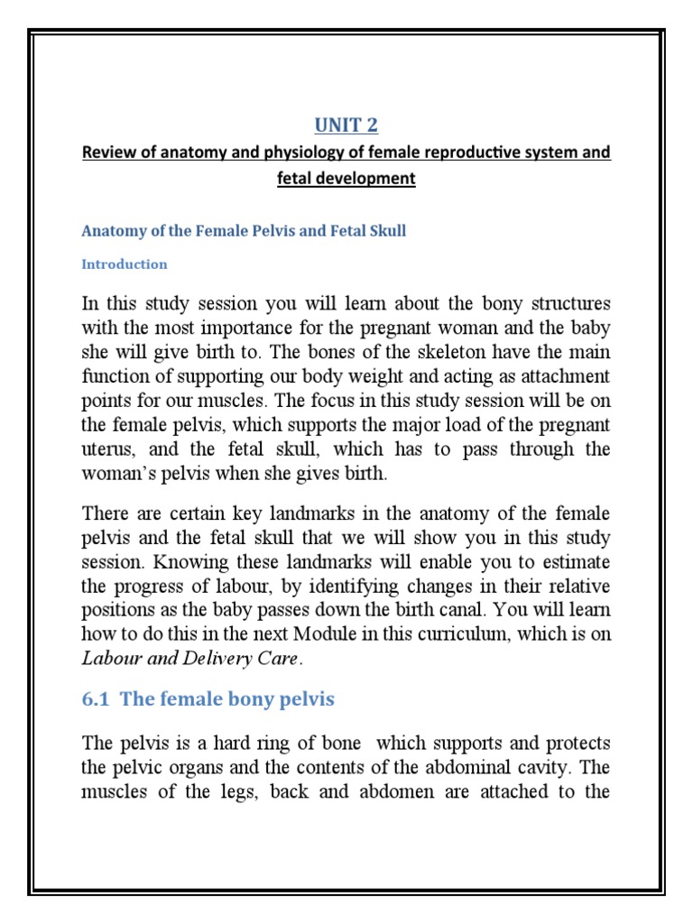 Unit 2 - Review of Anatomy and Physiology | PDF | Menstrual Cycle | Ovary