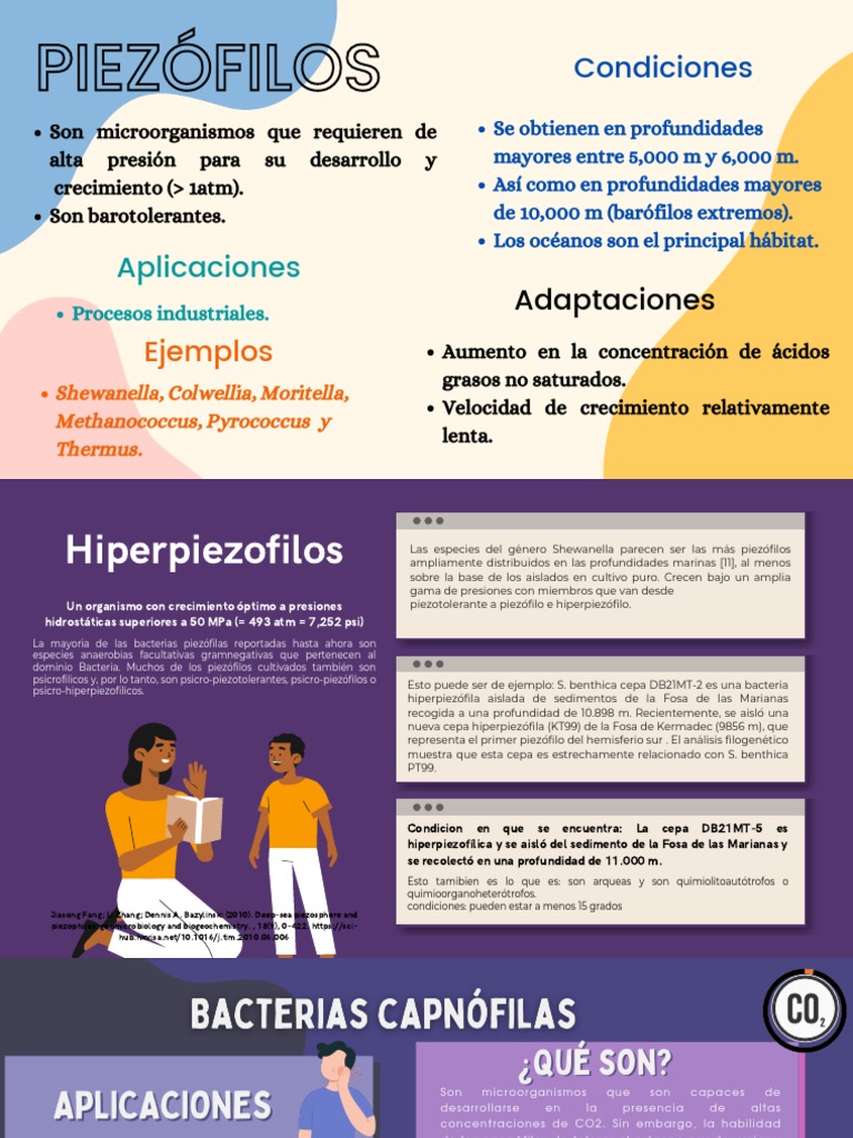 Bacterias Piezófilas: Adaptaciones y Hábitat | PDF | Las bacterias ...