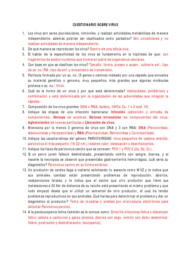 Rio Virus | PDF | Virus | Rna