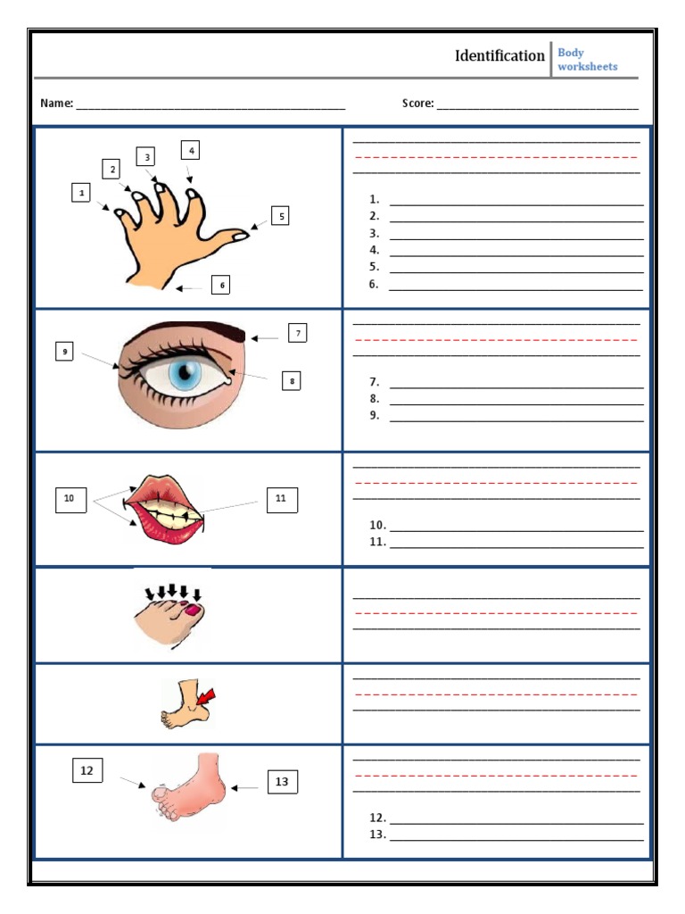 Parts of The Body Quiz Picture Description Exercises - 95112 | PDF