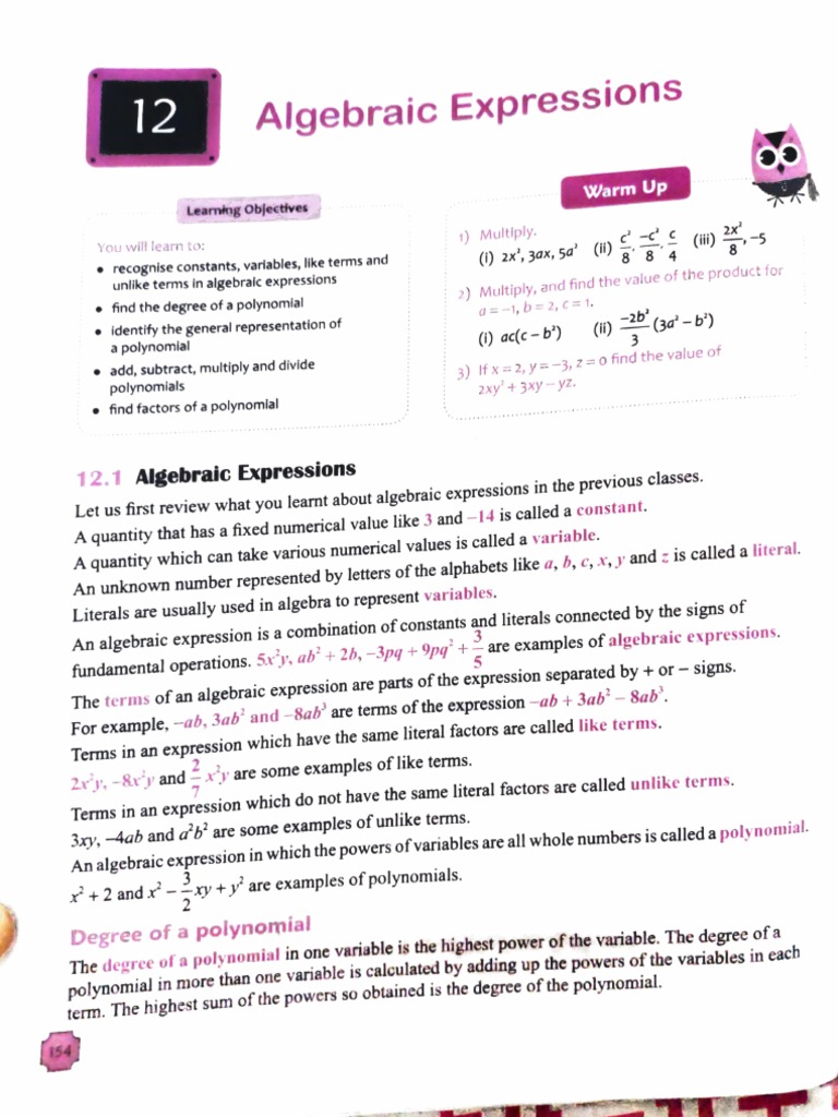 CH 12 Algebraic Expressions - Class 8 | PDF | Factorization | Division ...