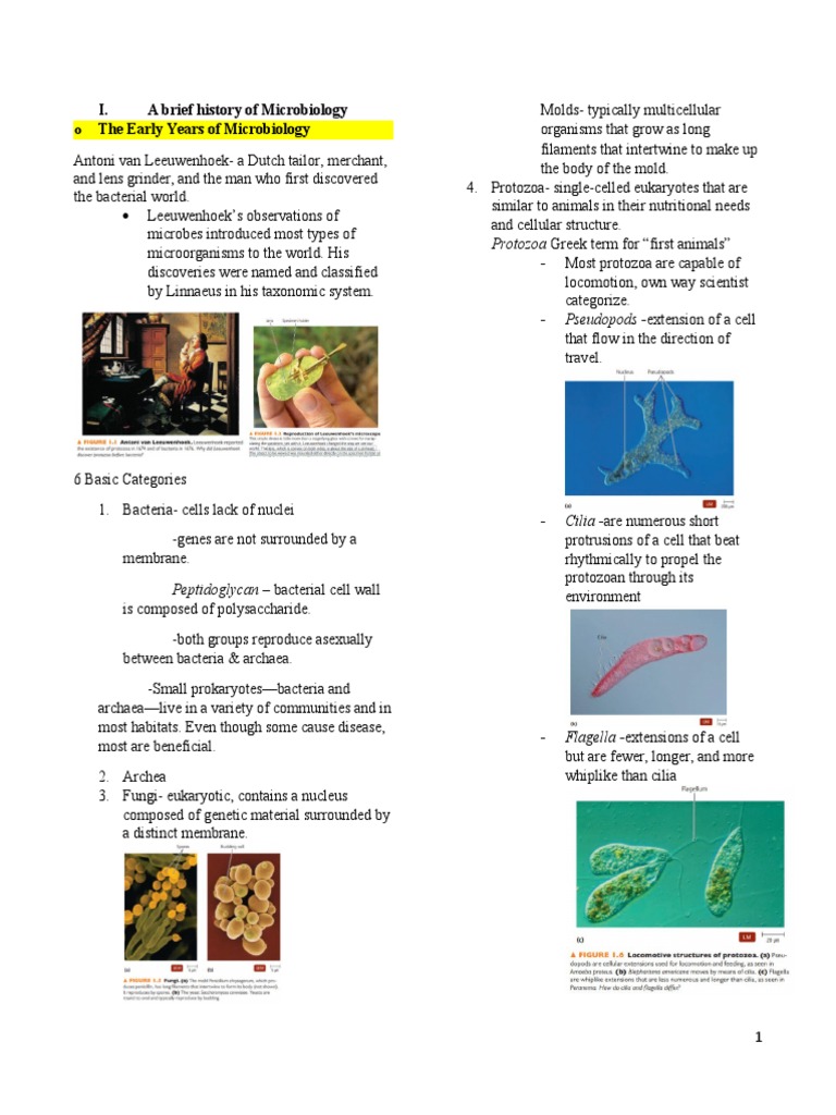 Microbiology Notes | PDF | Bacteria | Cell (Biology)