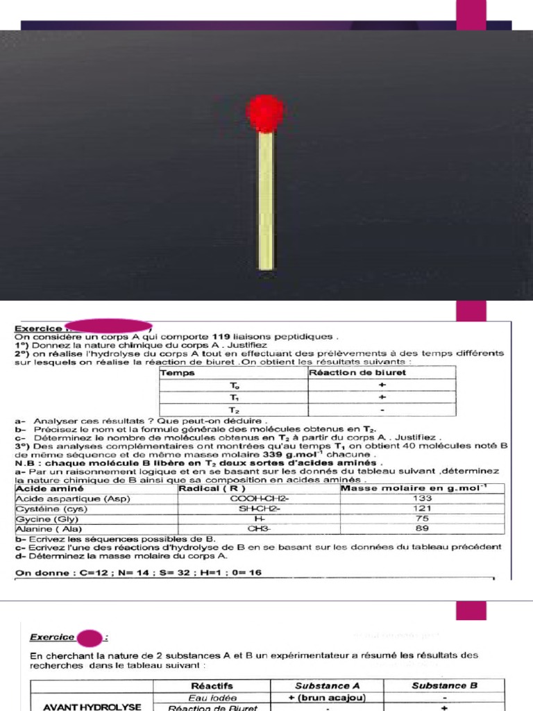 Exercices Corriges Aliments Simples 3sc Exp | PDF