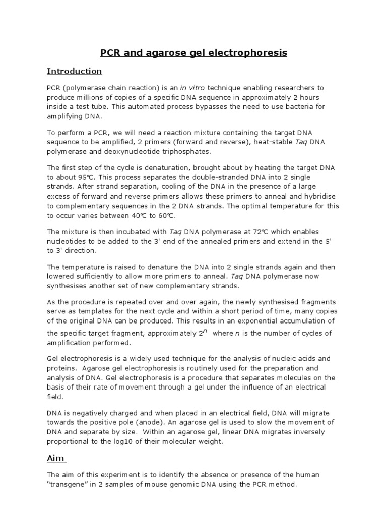 PCR and Gel Electrophoresis Guide | PDF | Gel Electrophoresis | Taq ...