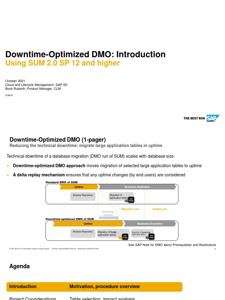 Downtime-Optimized DMO: Introduction: Using SUM 2.0 SP 12 and Higher | PDF | Databases | Computing