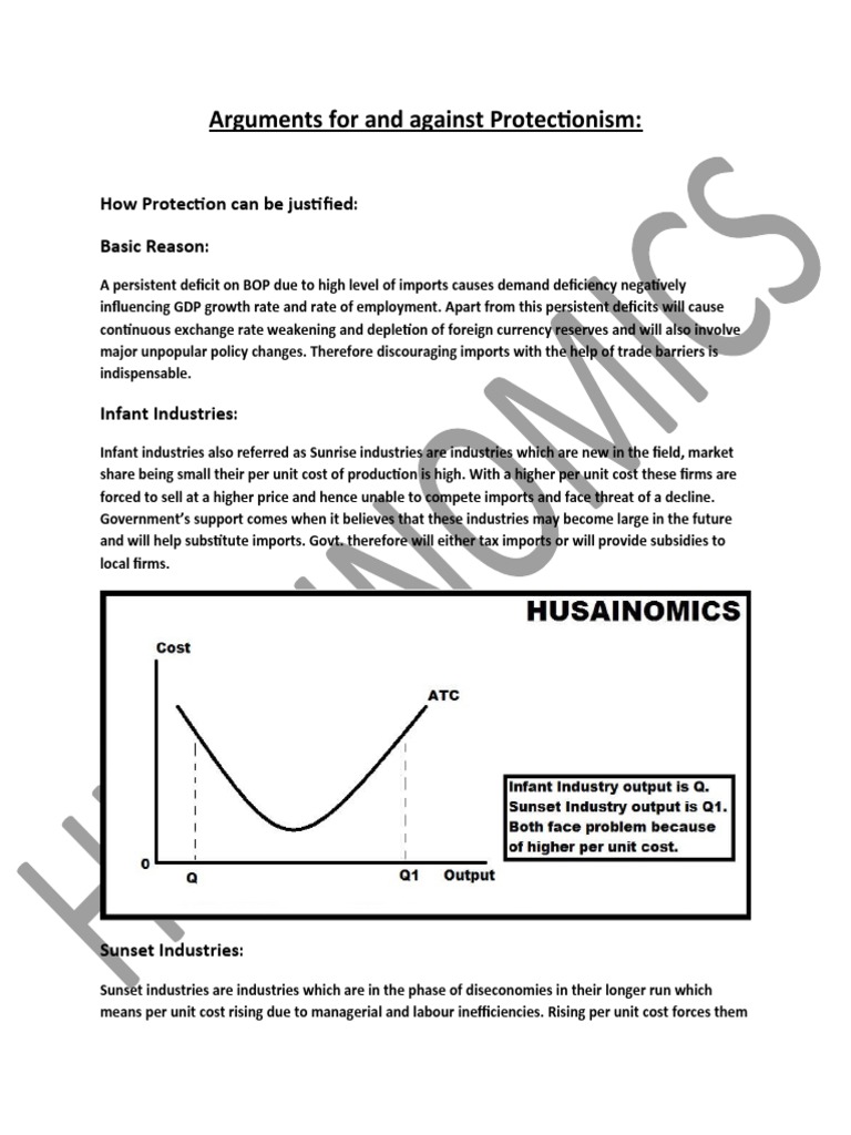 19.arguments For and Against Protectionism | PDF | Dumping (Pricing ...