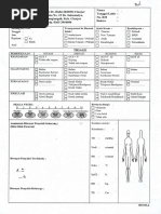 Form Triase IGD | PDF