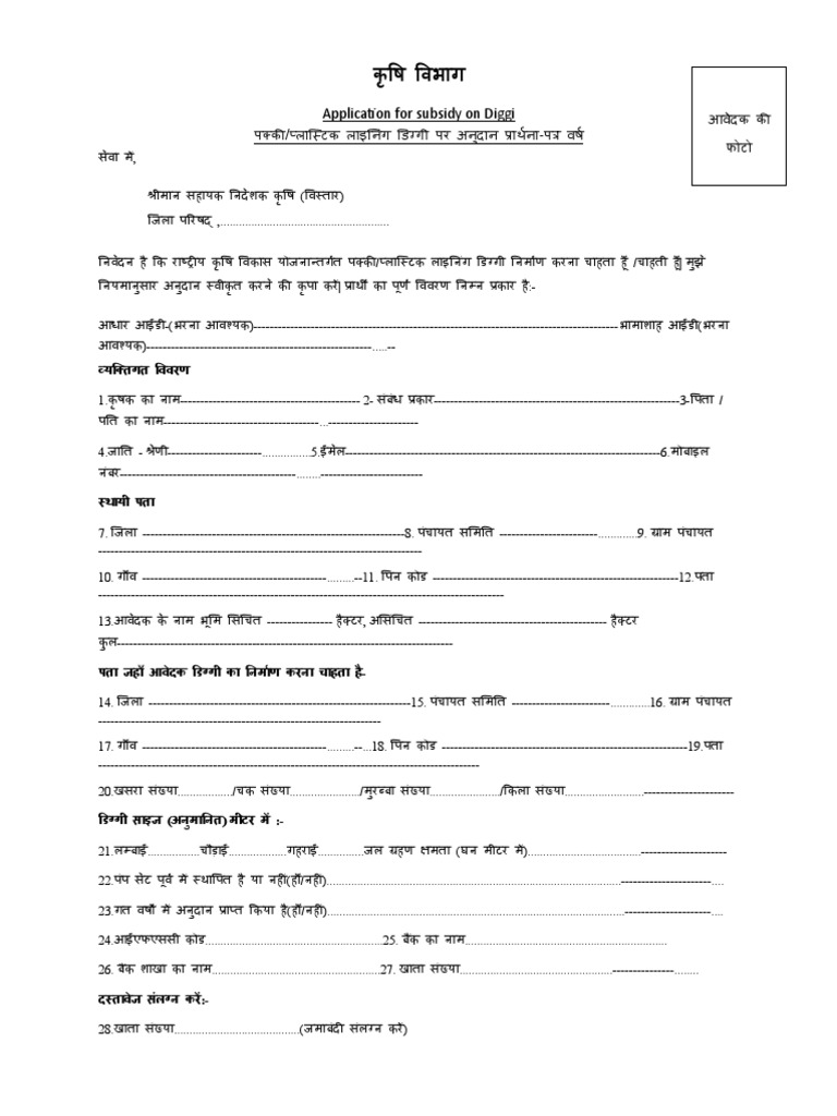 Diggi Subsidy Form | PDF