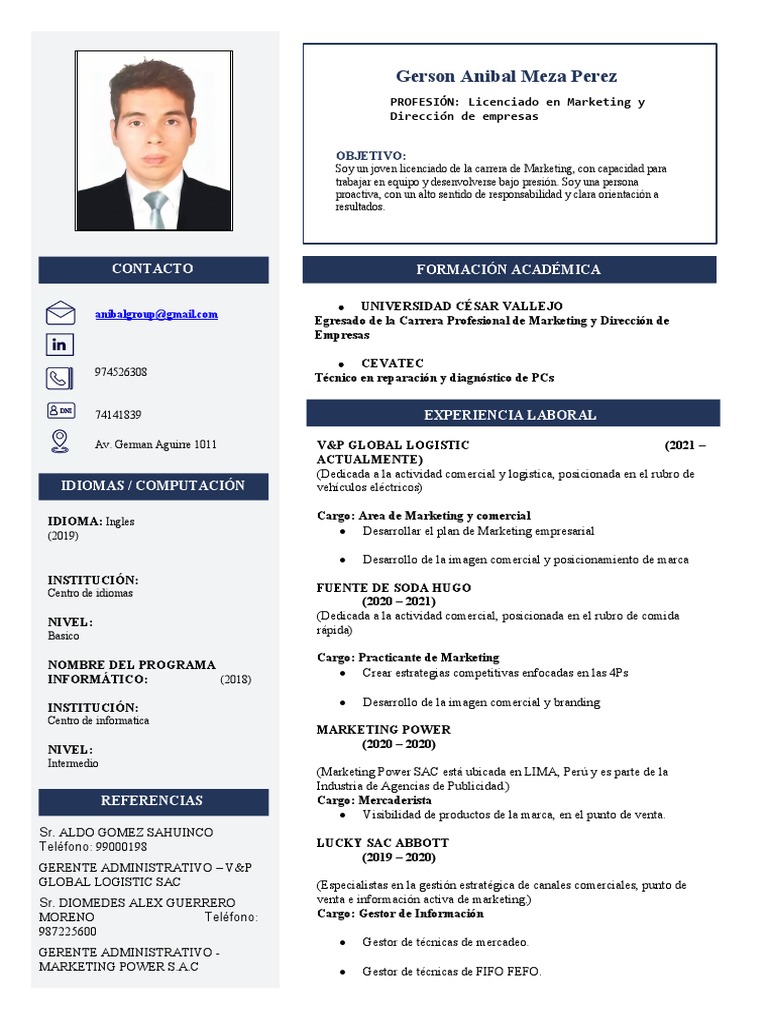 Gerson Anibal Meza Perez CV | Descargar gratis PDF | Marketing | Economias