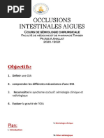 Anatomie de l'Aine et Canal Inguinal | PDF | Péritoine | Vaisseau sanguin