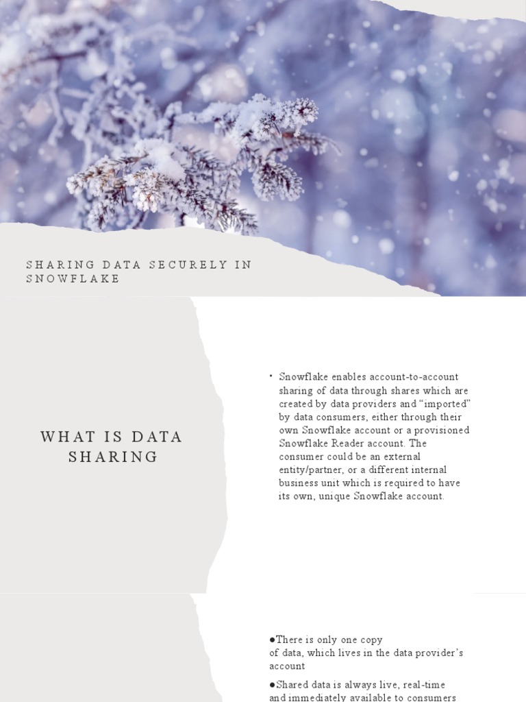 Snowflake Data Sharing | PDF | Databases | Information Technology Management