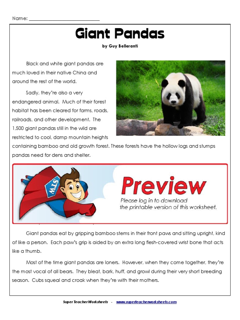 Giant Pandas: by Guy Belleranti | PDF | Giant Panda | Bears