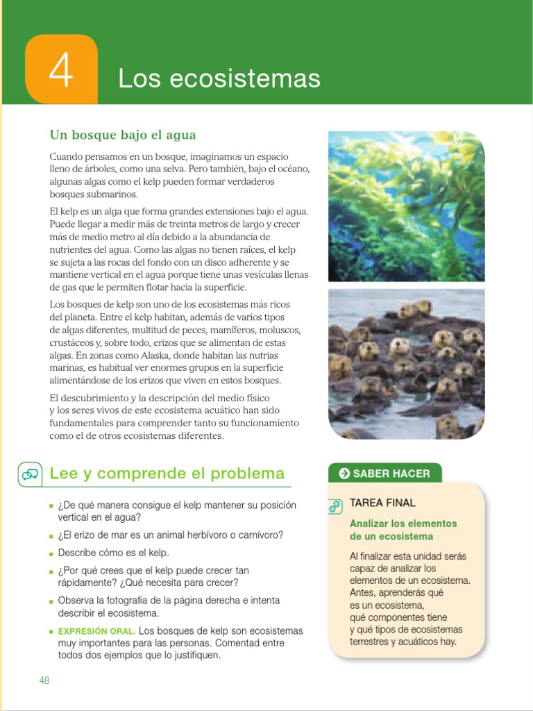 Ecositema | PDF | Ecosistema | Mar