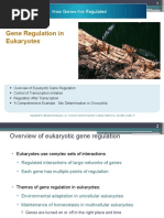 RNA and Protein Synthesis Problem Set | PDF | Translation (Biology) | Rna